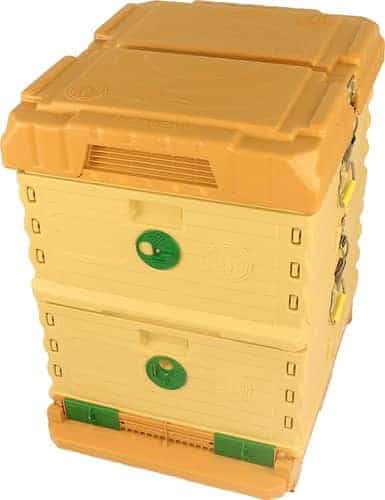 Top 12 Best Beehive & Beekeeping Starter Kits (2025 Review)