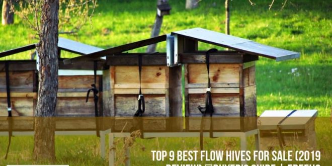 Top 9 Best Flow Hives For Sale (2019 Review) 🥇Buyer's Guide | EbeeHQ