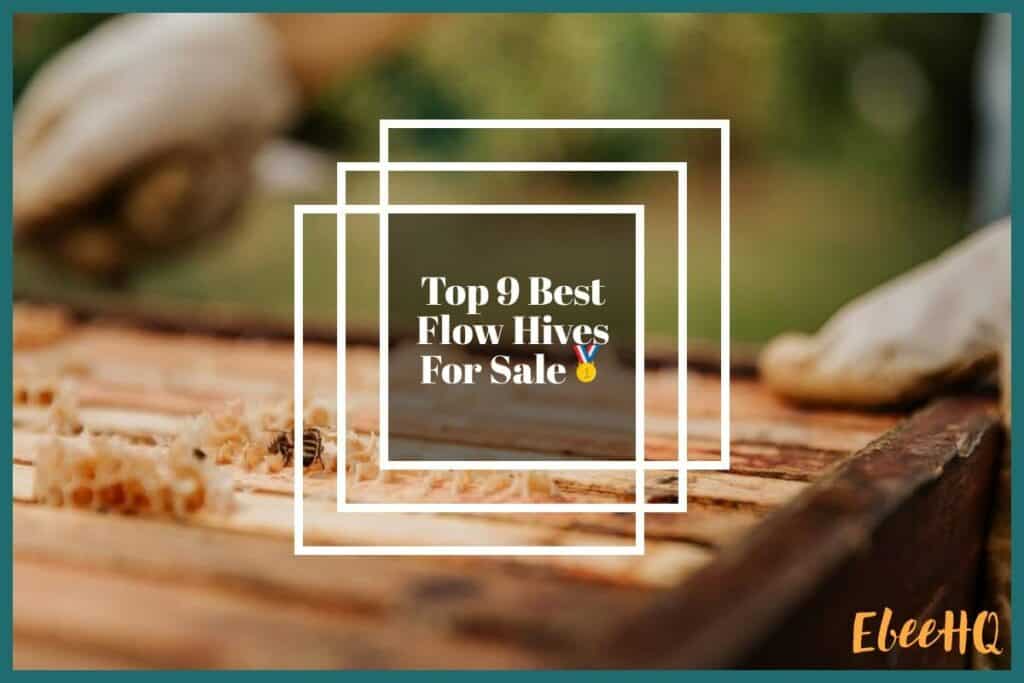 Top 9 Best Flow Hives For Sale (Oct 2025 Review)